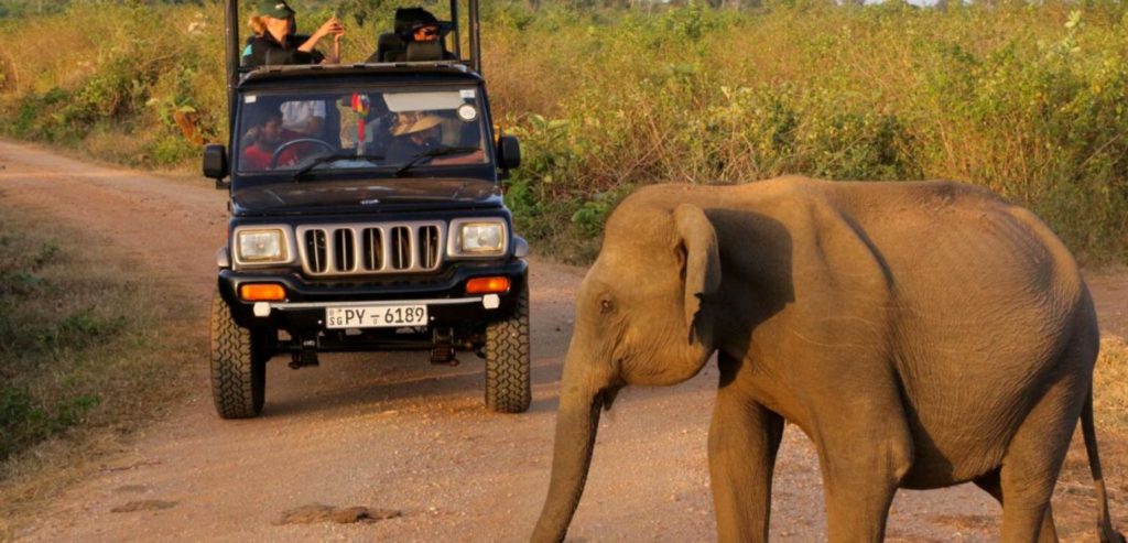 Nature & Wildlife Tours to admire our beautiful World. Packages & Ideas.